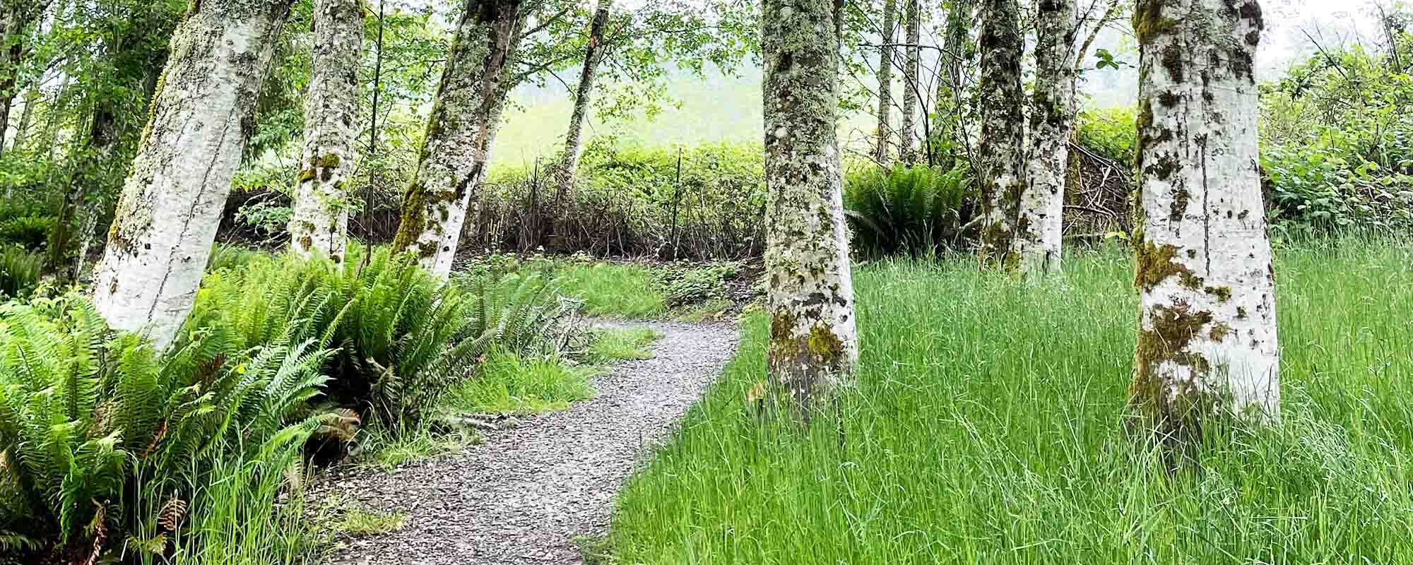 Projects & Maps – Skagit Trail Builders