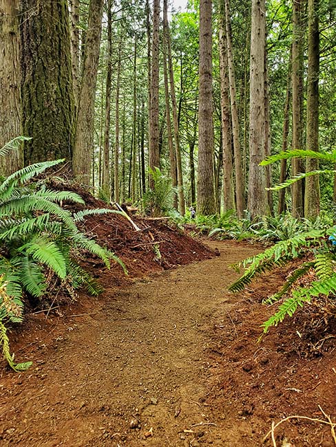 Projects & Maps – Skagit Trail Builders