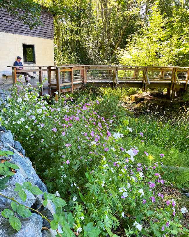 Projects & Maps – Skagit Trail Builders