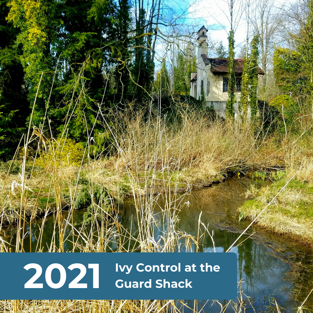 2021: Ivy Control at the Historic Guard Shack and Thompson Pond ...
